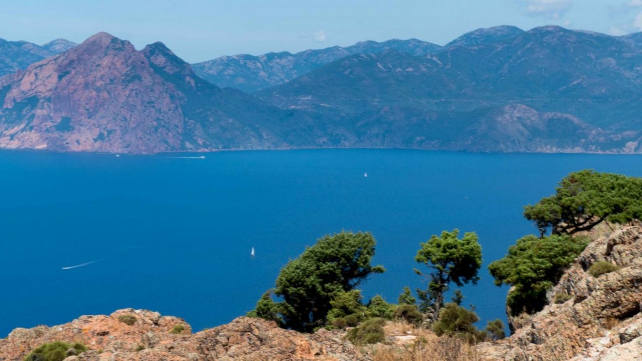 Contact - Core Corsu